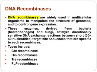 Lecture 6 Site specific recombination (Final).pptx