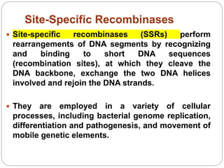 Lecture 6 Site specific recombination (Final).pptx