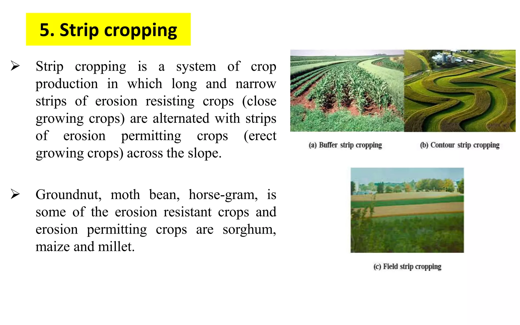 Lecture 6 soil & water conservation | PPTX
