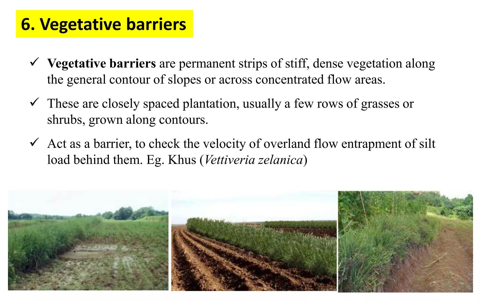 Lecture 6 soil & water conservation | PPTX