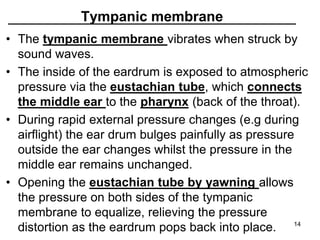 lecture 6 special senses.ppt