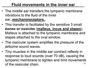 lecture 6 special senses.ppt