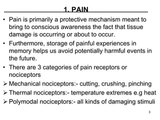lecture 6 special senses.ppt
