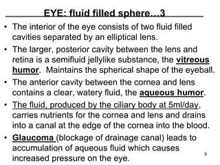 lecture 6 special senses.ppt