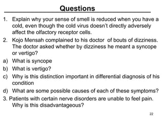 lecture 6 special senses.ppt