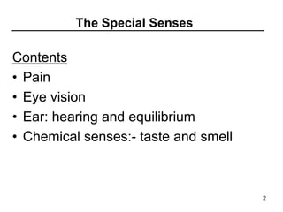 lecture 6 special senses.ppt