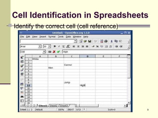 Lecture 6 spreadsheets | PPT | Free Download