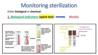 Lecture 6 sterilization and disinfection.pdf