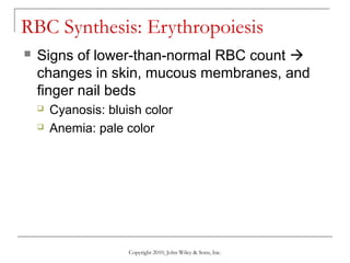 Lecture 6 the cardiovascular system blood | PPT