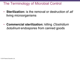 lecture 6 The Control of Microbial Growth.pdf