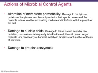 lecture 6 The Control of Microbial Growth.pdf