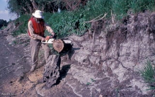 GEOG5839.06, The principle of cross dating | PDF