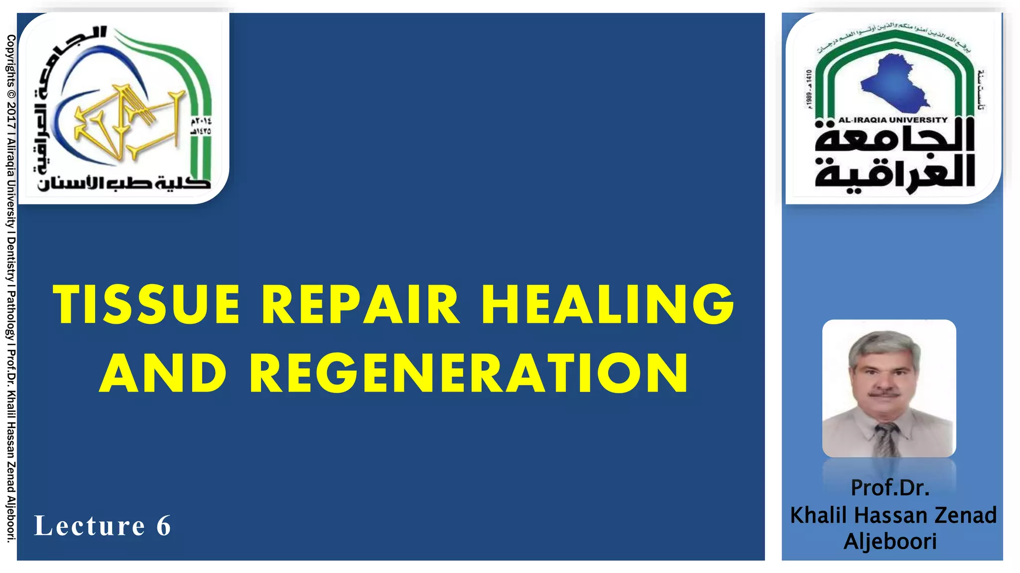 Lecture 6 tissue repair healing and regeneration | PPTX