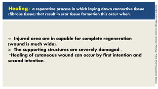 Lecture 6 tissue repair healing and regeneration | PPTX