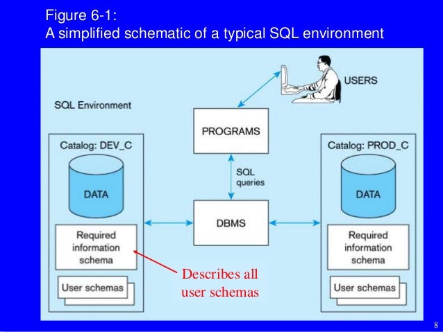 SQL(database)