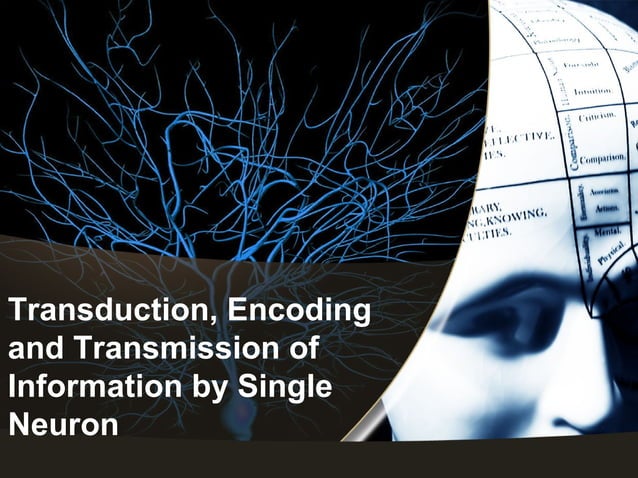 Transduction, Encoding and Transmission of Information by Single Neuron ...