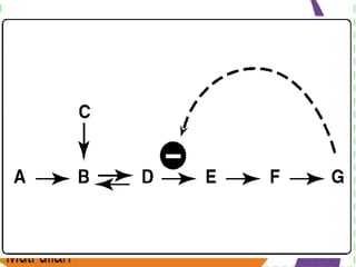regulation of enzyme activity | PPTX