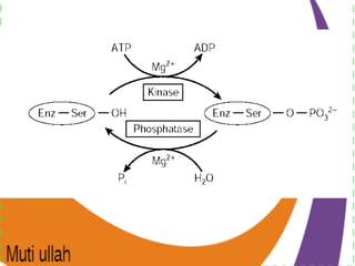 regulation of enzyme activity | PPTX