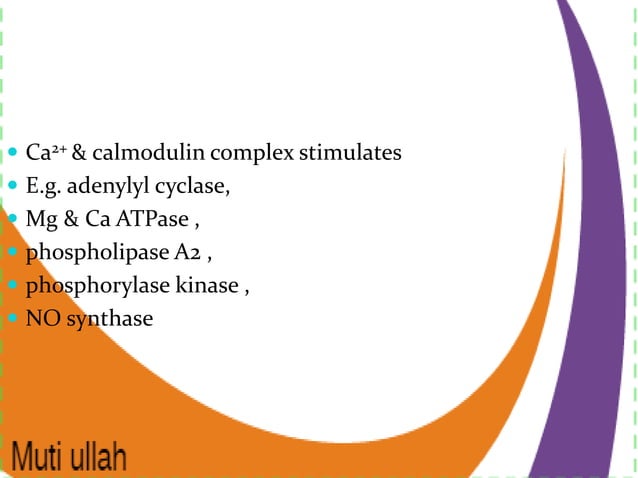regulation of enzyme activity | PPTX