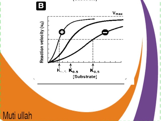 regulation of enzyme activity | PPTX
