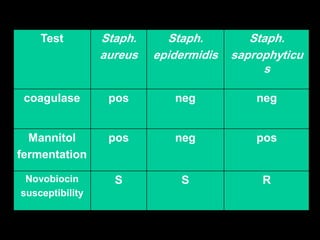 . staphylococcus dr. ihsan alsaimary | PDF
