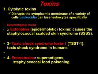 . staphylococcus dr. ihsan alsaimary | PDF