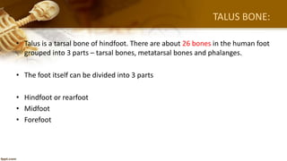 Lecture 7 | PPTX