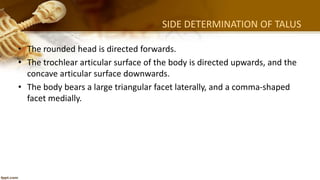 Lecture 7 | PPTX