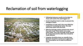 Introduction to Applied Ecology | PPTX