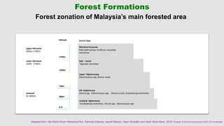 Lecture 7.pdf