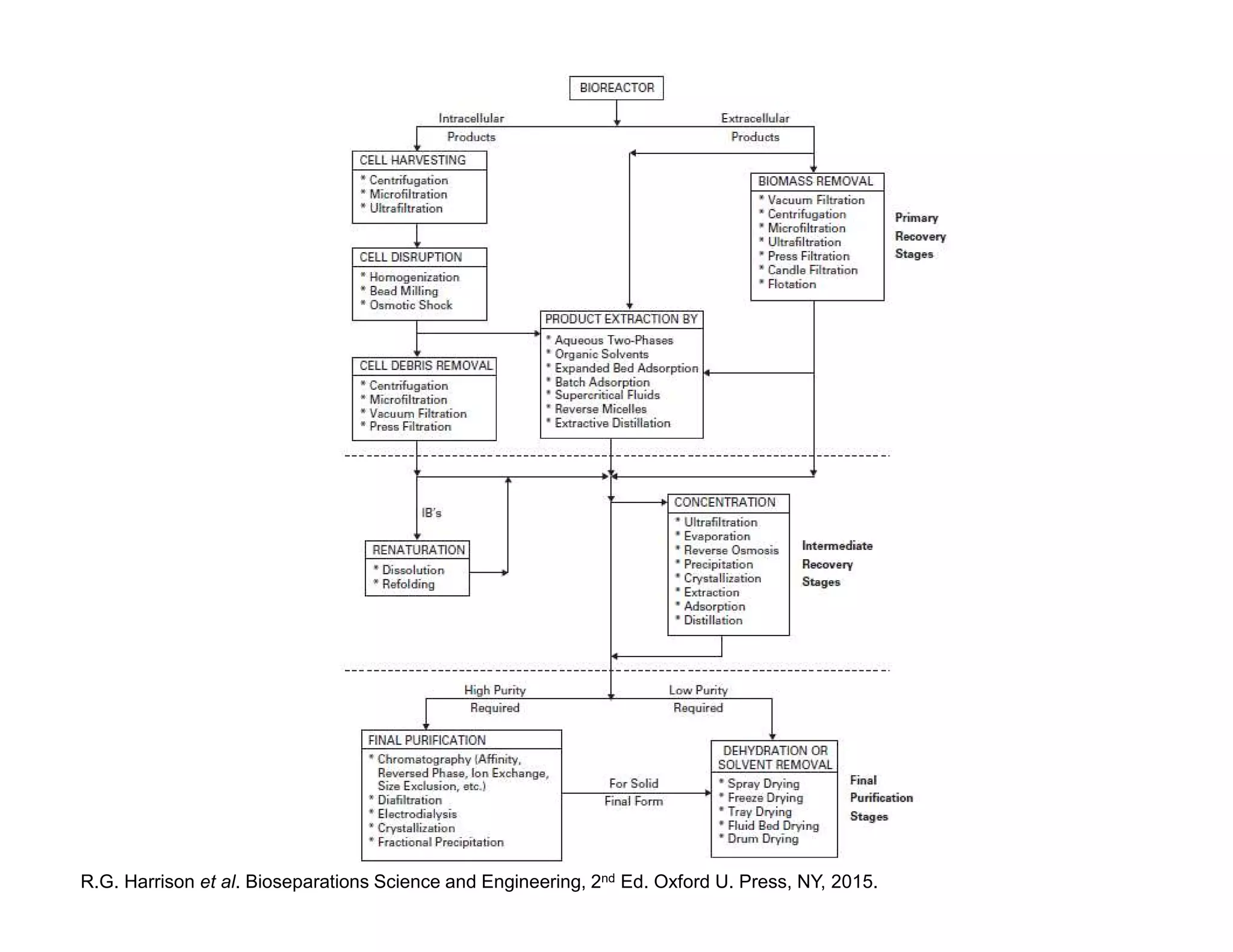 Downstream processing | PDF
