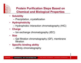 Downstream processing | PDF