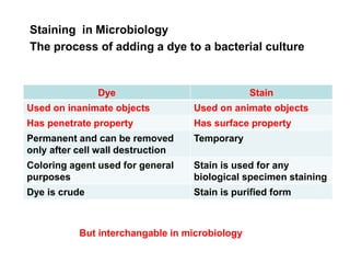 Lecture 7.ppt