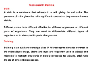 Lecture 7.ppt | Chemistry | Science