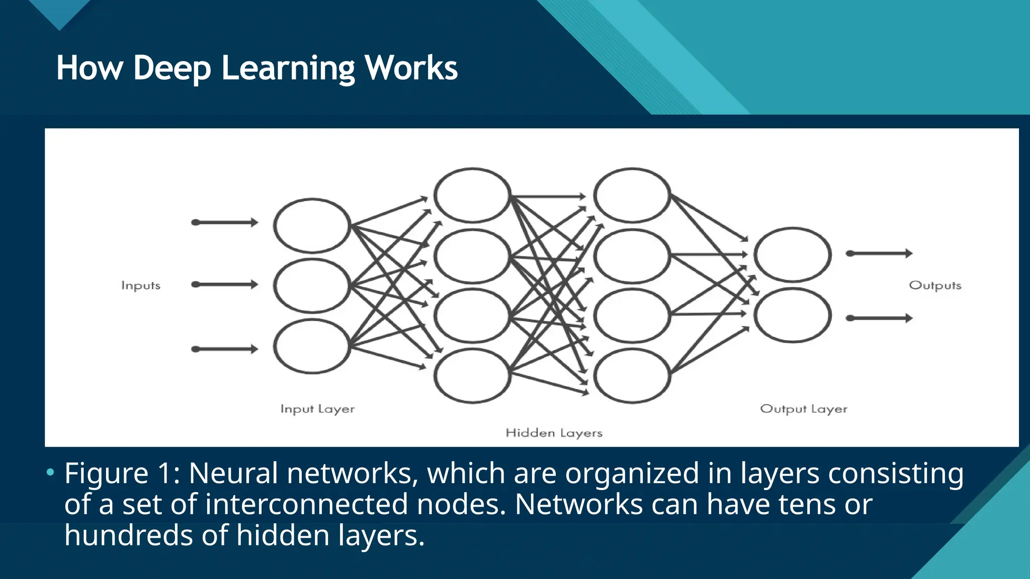 LECTURE 7 biomedical sciences undergrad.pptx