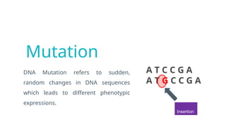Lecture 7 logical circuits for computer .pptx