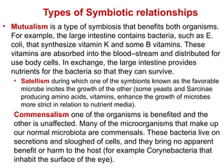 Ecology of microorganisms. Microflora of the water, soil and air ...
