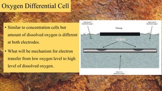 Types of Electrochemical Cells | PPTX