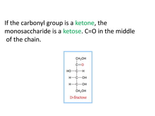 Lecture7-Carbohydrates101.pptx