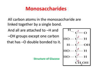 Lecture7-Carbohydrates101.pptx