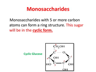 Lecture7-Carbohydrates101.pptx