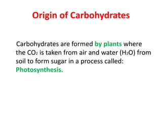 Lecture7-Carbohydrates101.pptx