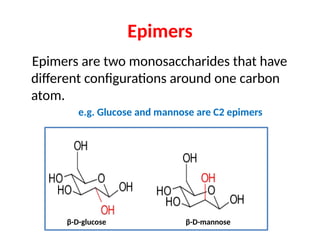 Carbohydrates in food basics and science for | PPTX