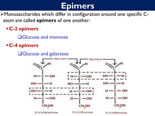 Lecture 7 - Carbohydrates 2 (1)biochemistry.pdf