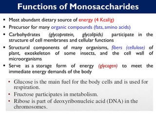 Lecture 7 - Carbohydrates 2 (1)biochemistry.pdf