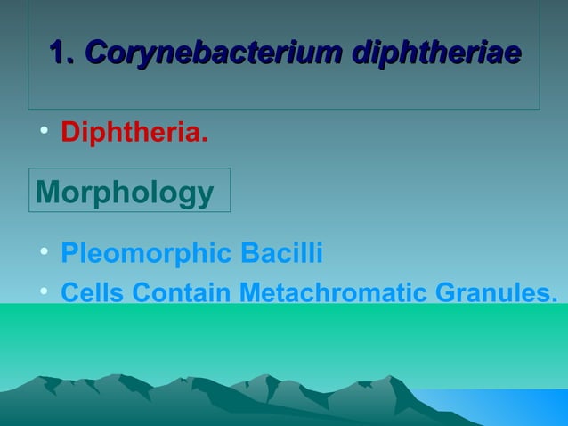 Lecture 7 Corynebacterium and listeria | PPT | Infectious Diseases ...