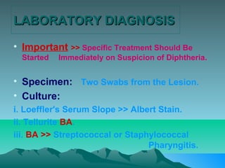 Lecture 7 Corynebacterium and listeria | PPT