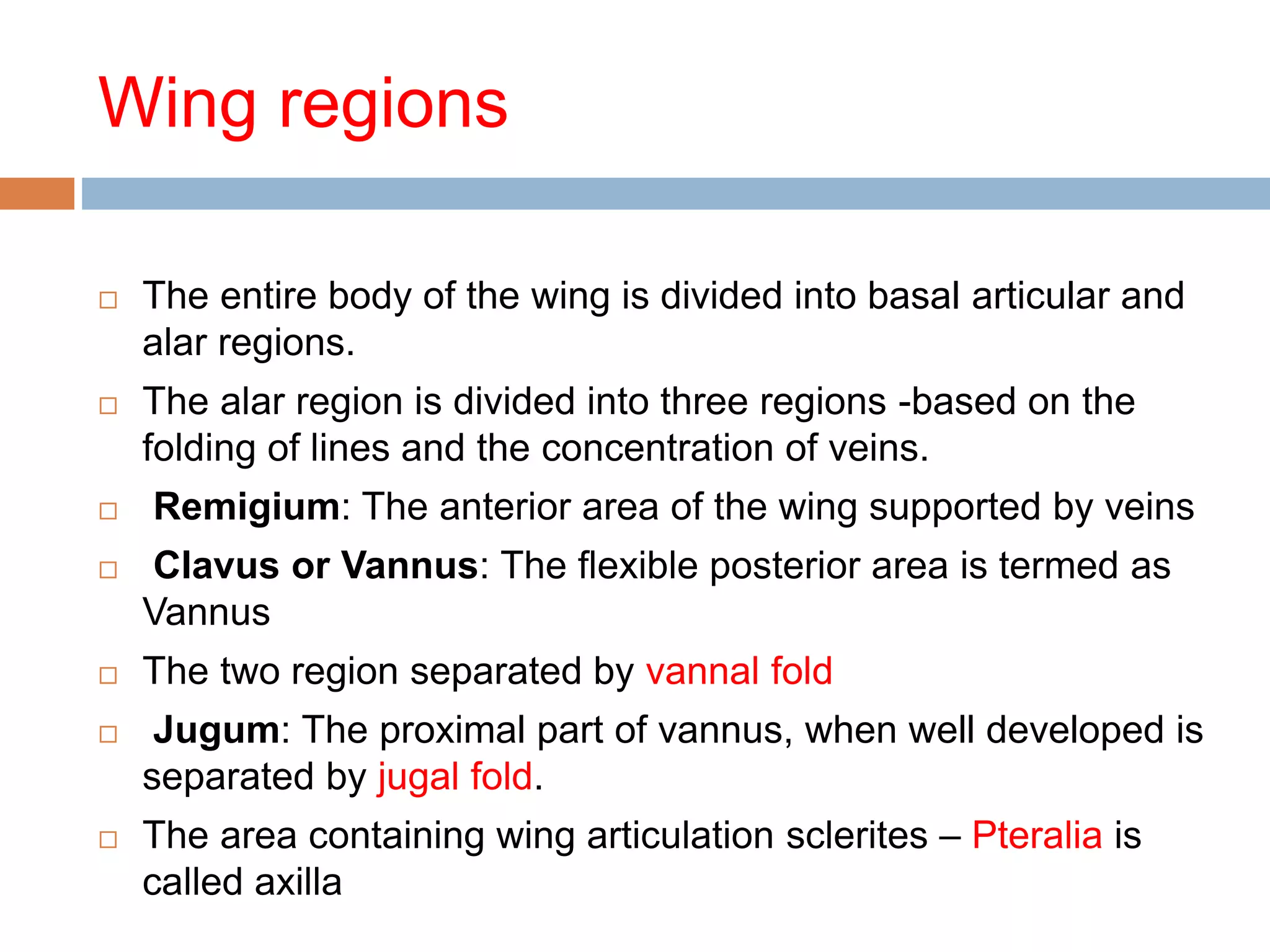 Insect wings | PPTX