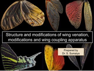 Insect wings | PPTX