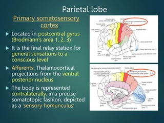 lecture 7 (1).ppt rfgbffffffffffffffffffffffffffff | PPT